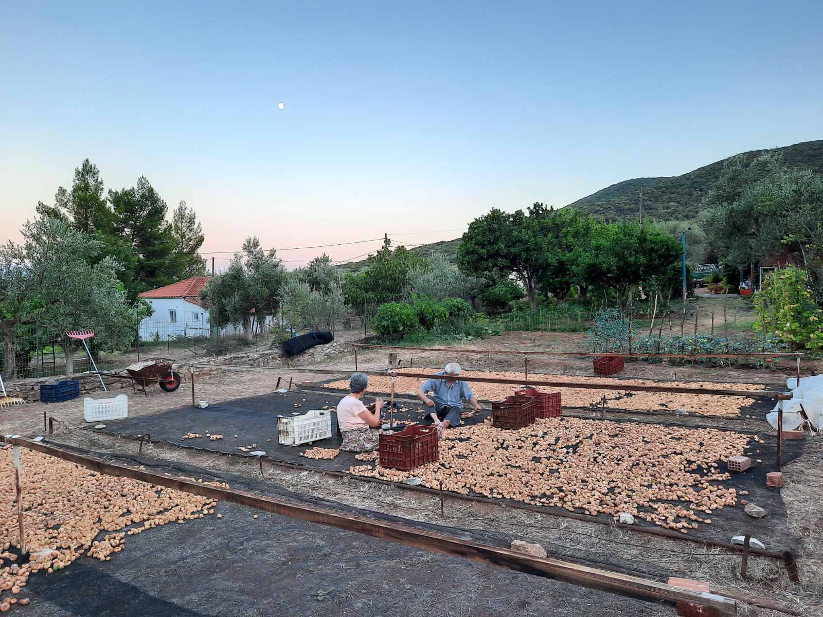 Χλωρίδα και πανίδα – ΝΟΣΤΟΣ εκ φύσεως